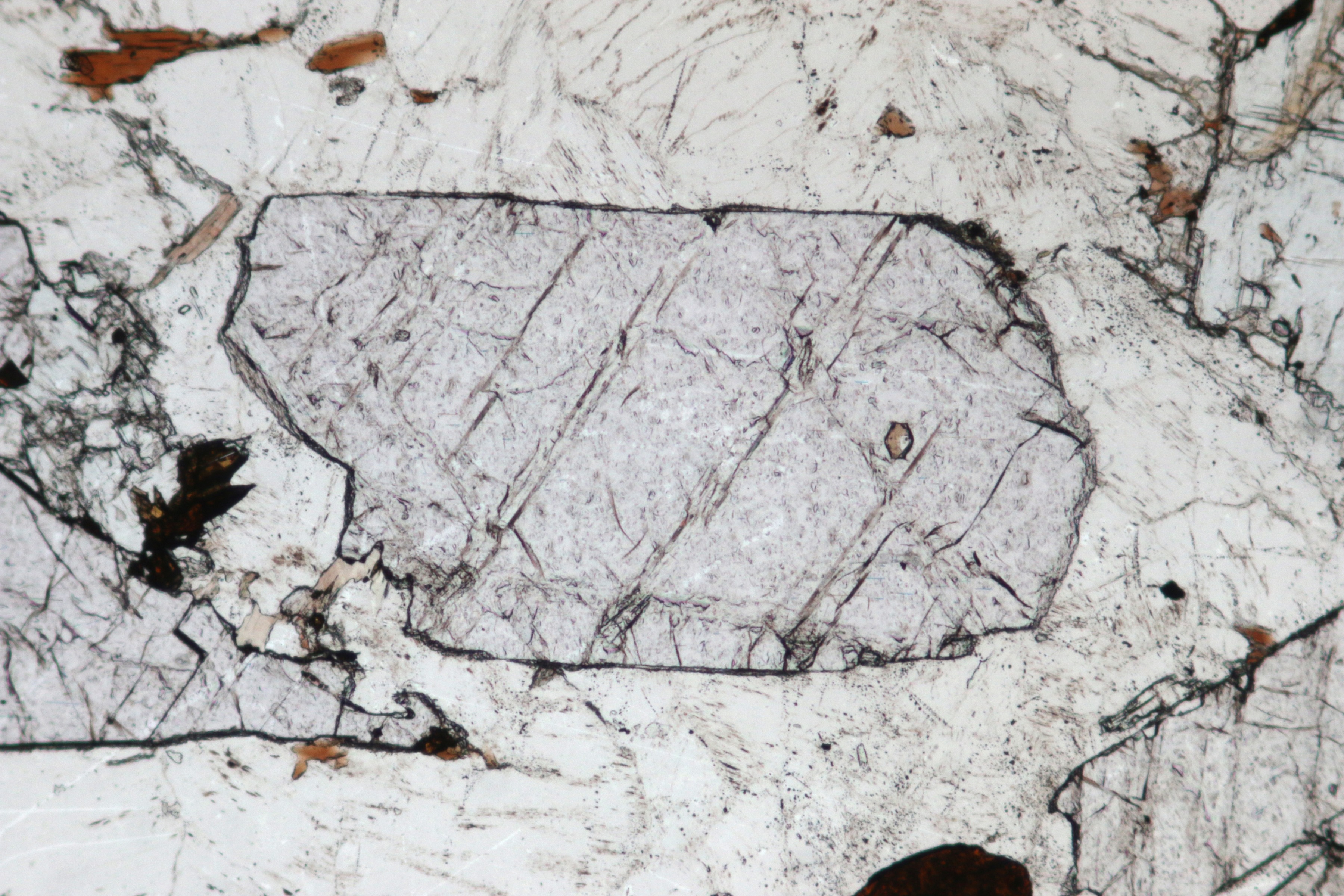 Minerals In Thin Section