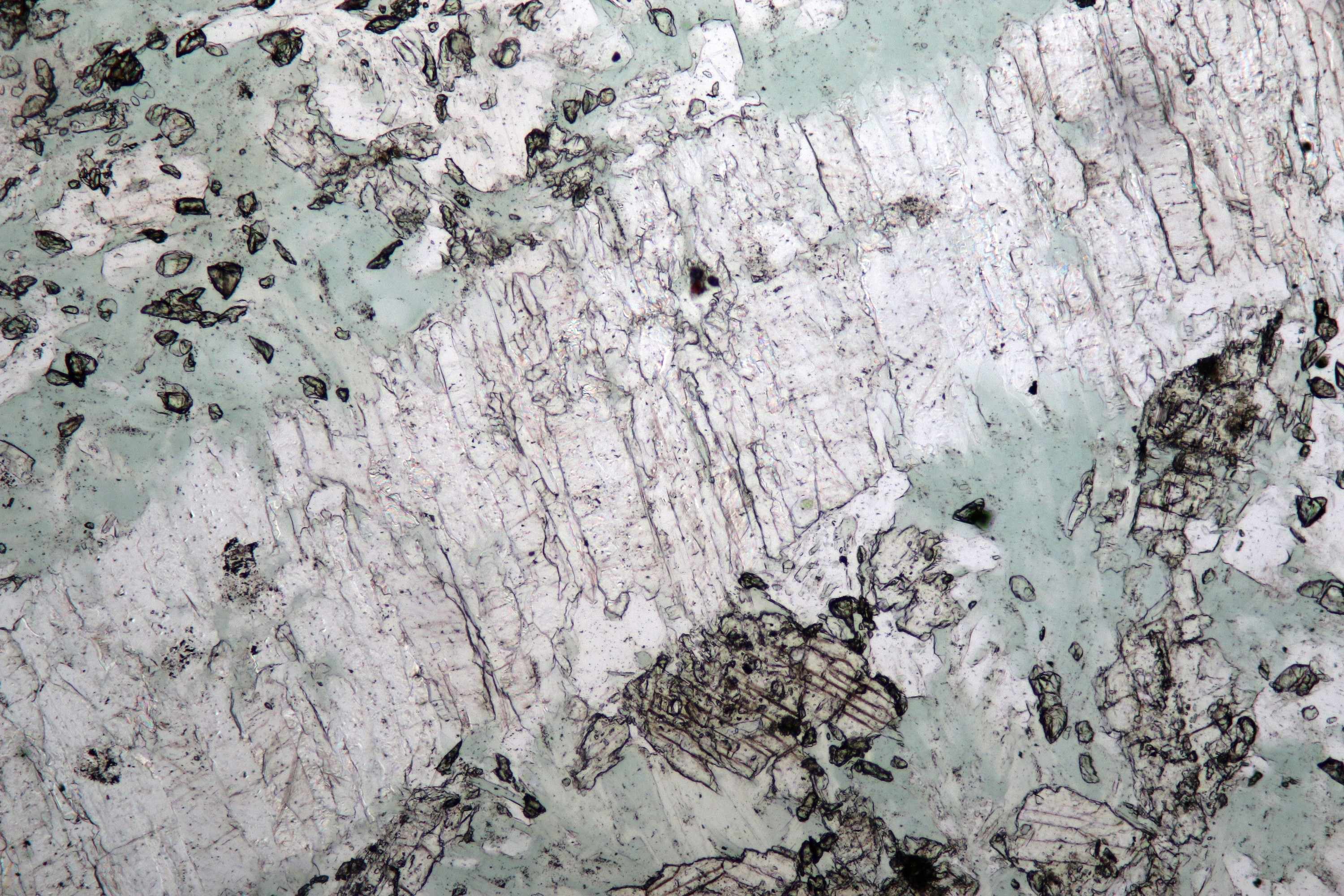 Minerals In Thin Section