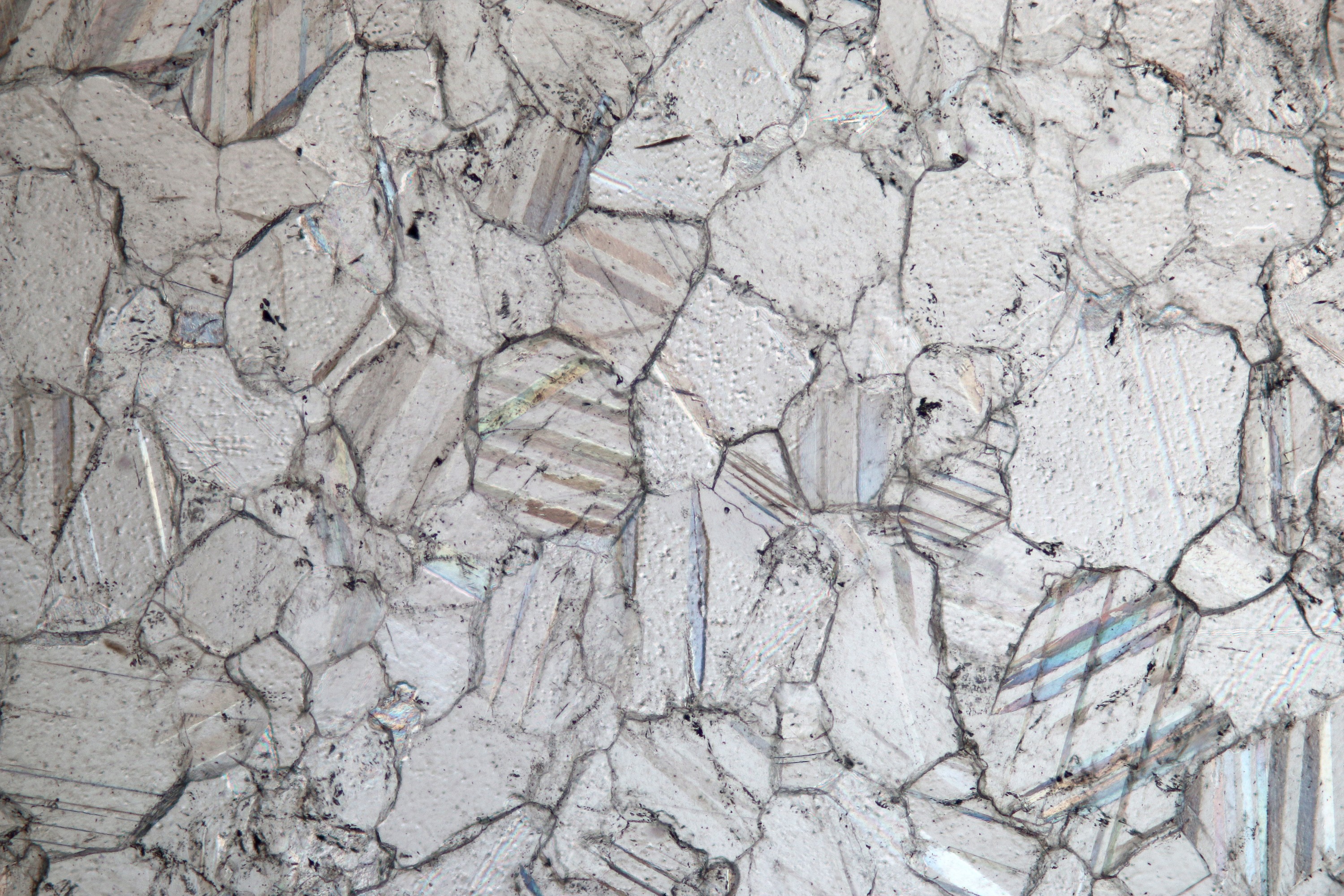 Minerals In Thin Section