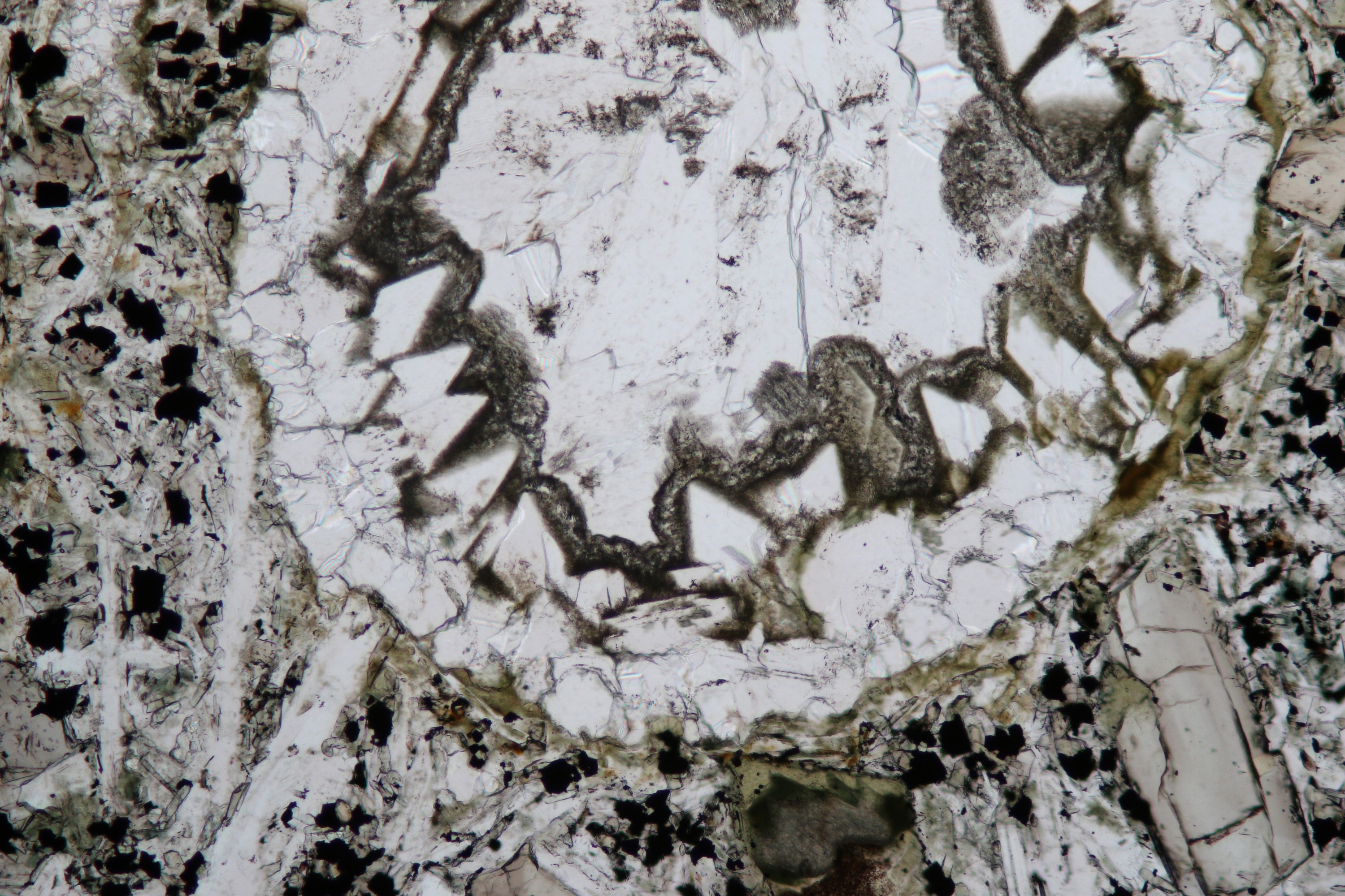 Minerals In Thin Section