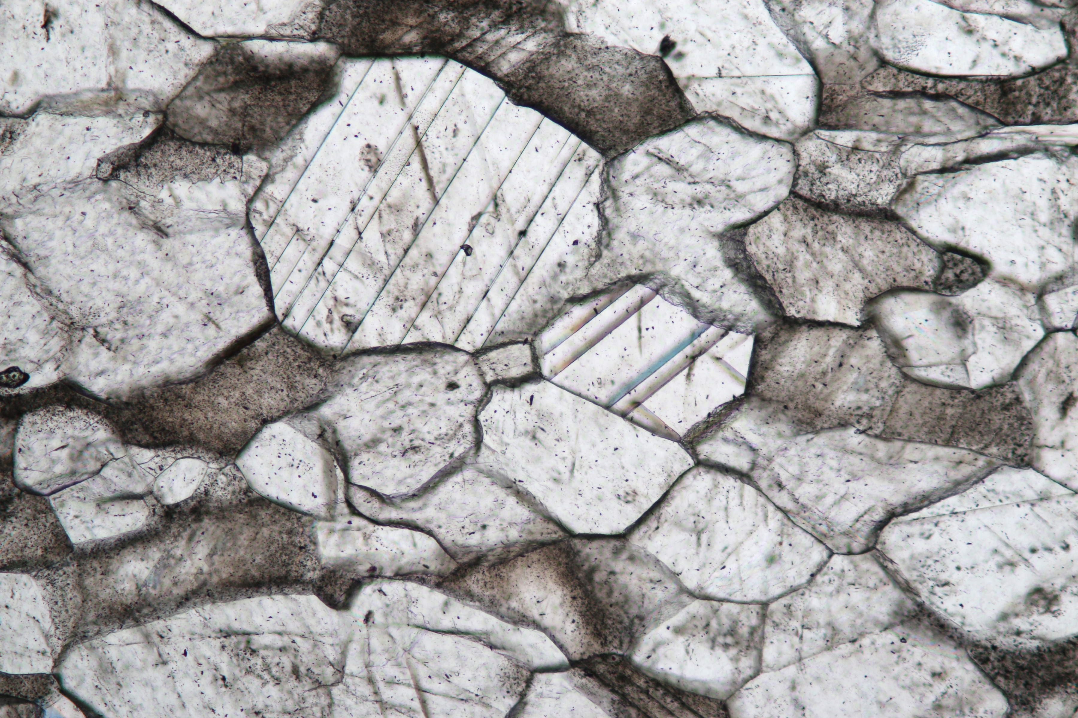 Minerals In Thin Section