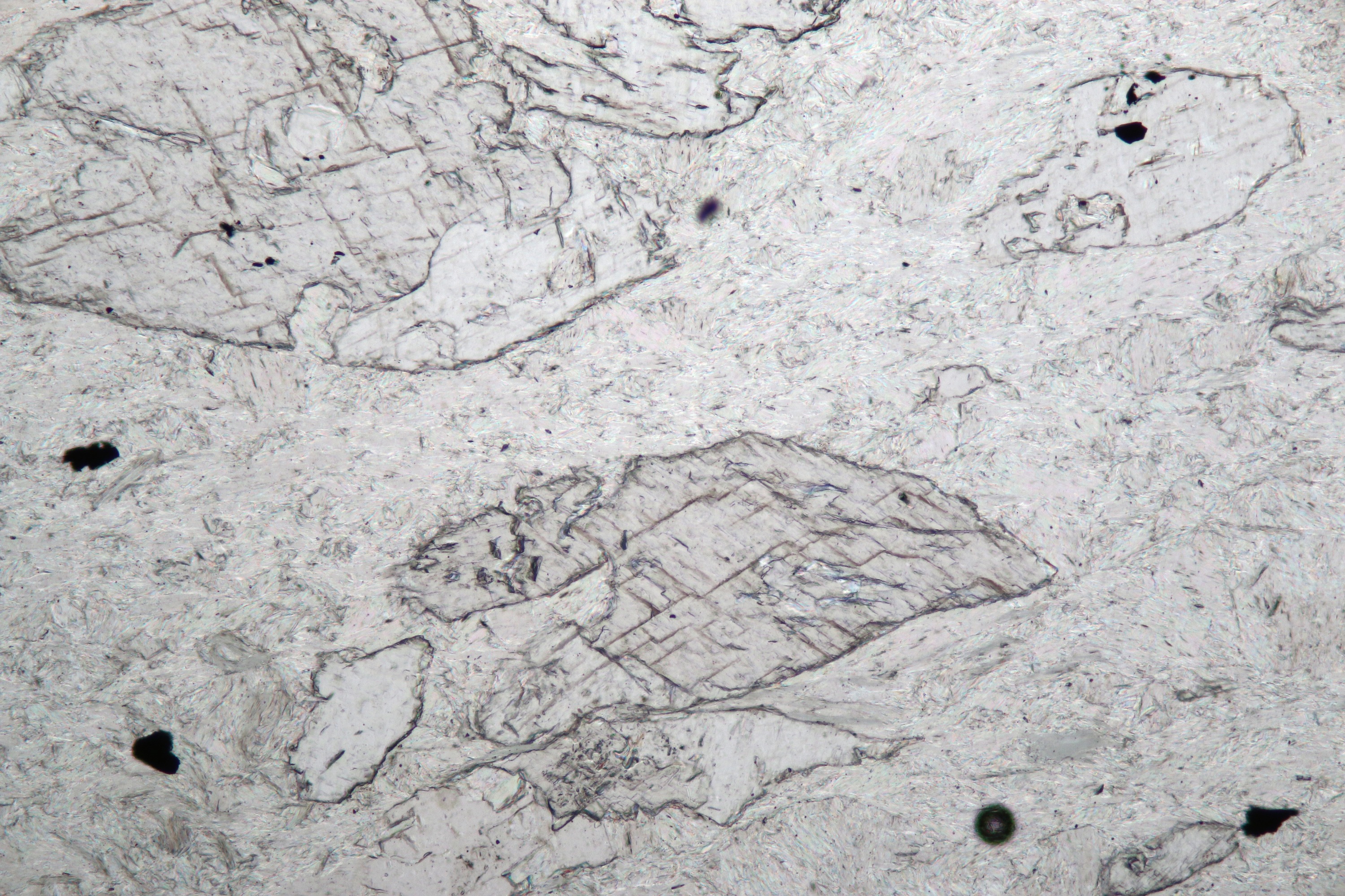 Minerals In Thin Section