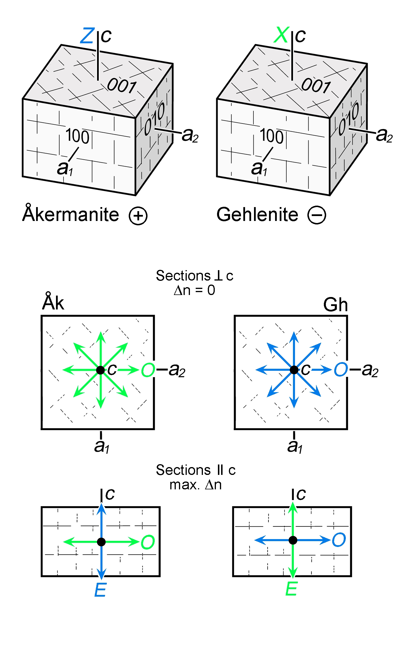 Minerals In Thin Section