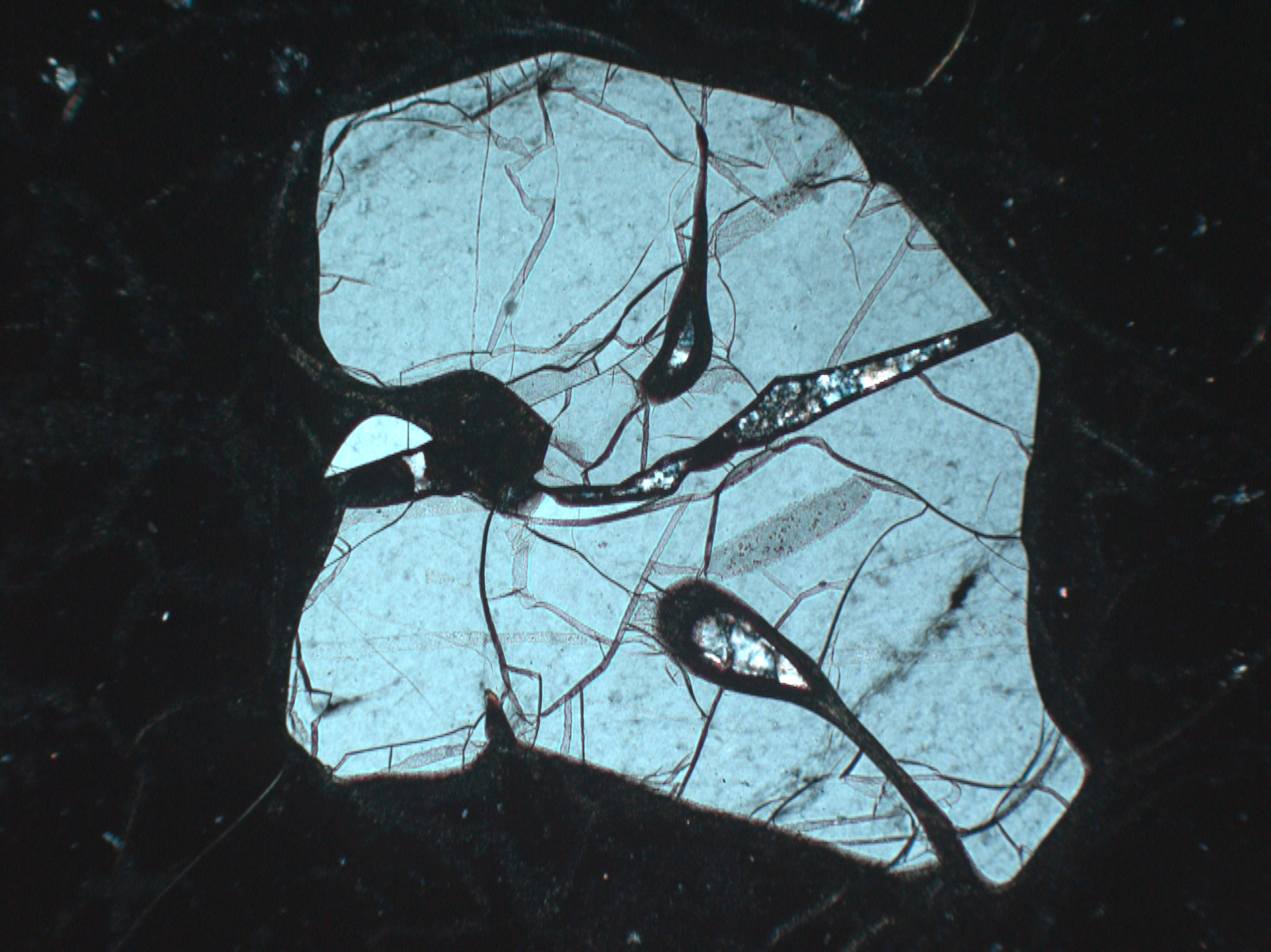 Minerals In Thin Section