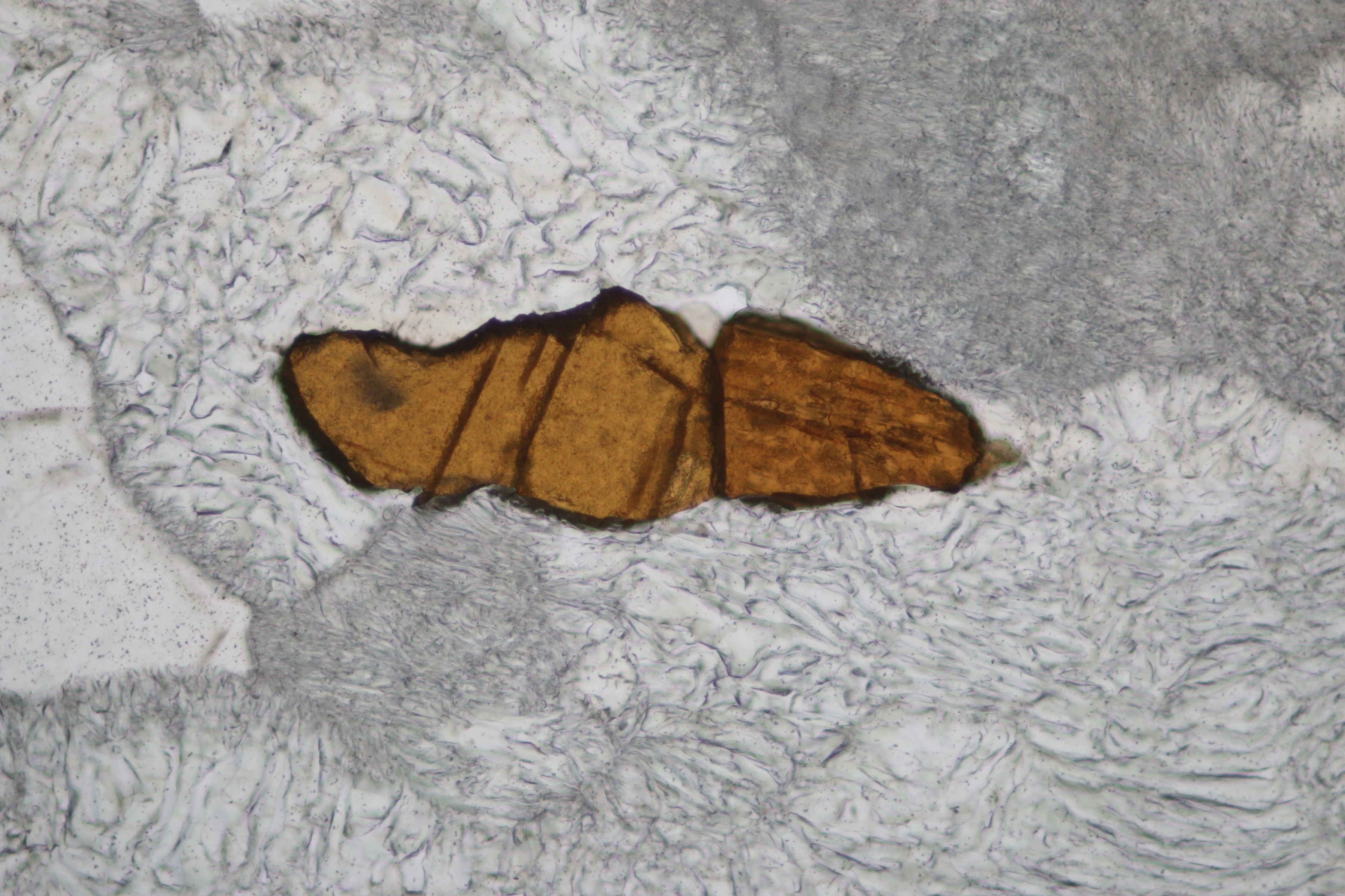 Minerals In Thin Section