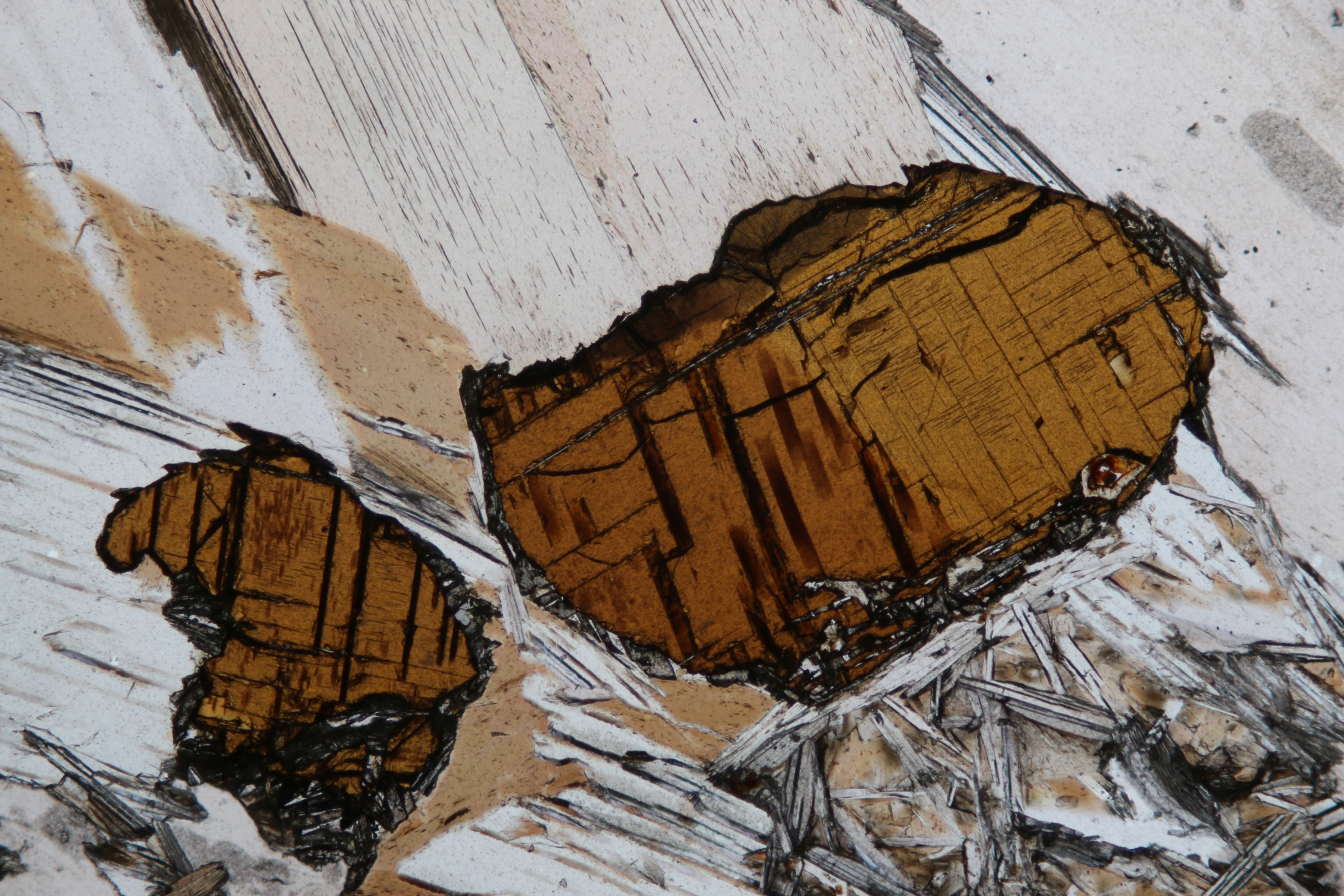 Minerals In Thin Section