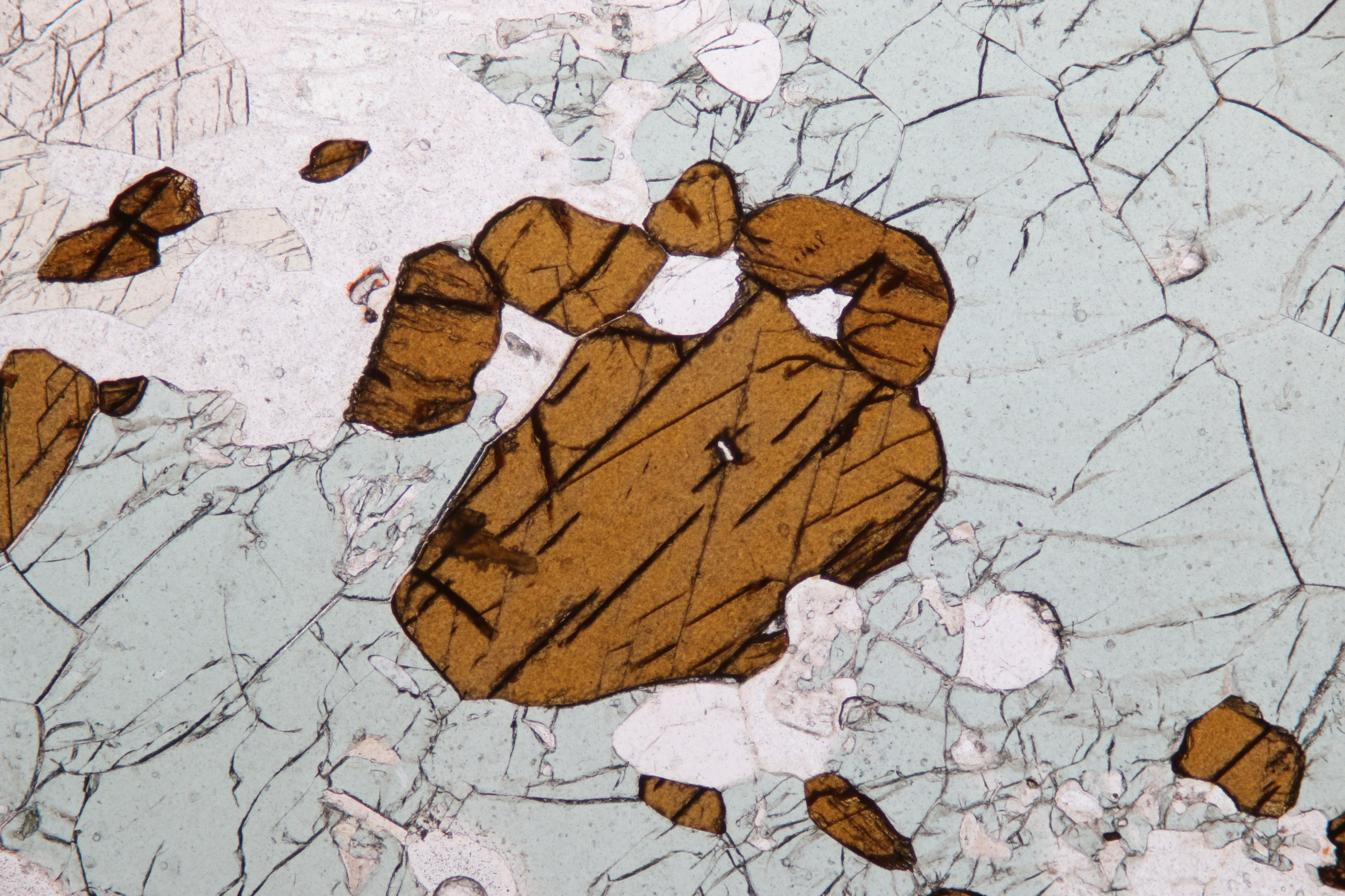 Minerals In Thin Section