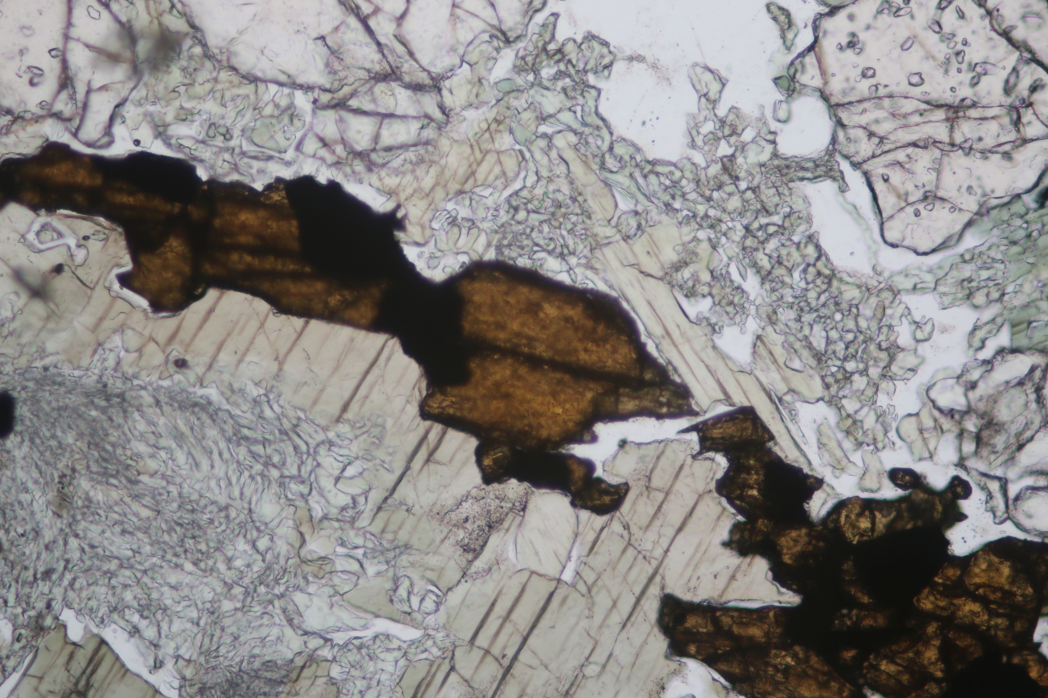 Minerals In Thin Section