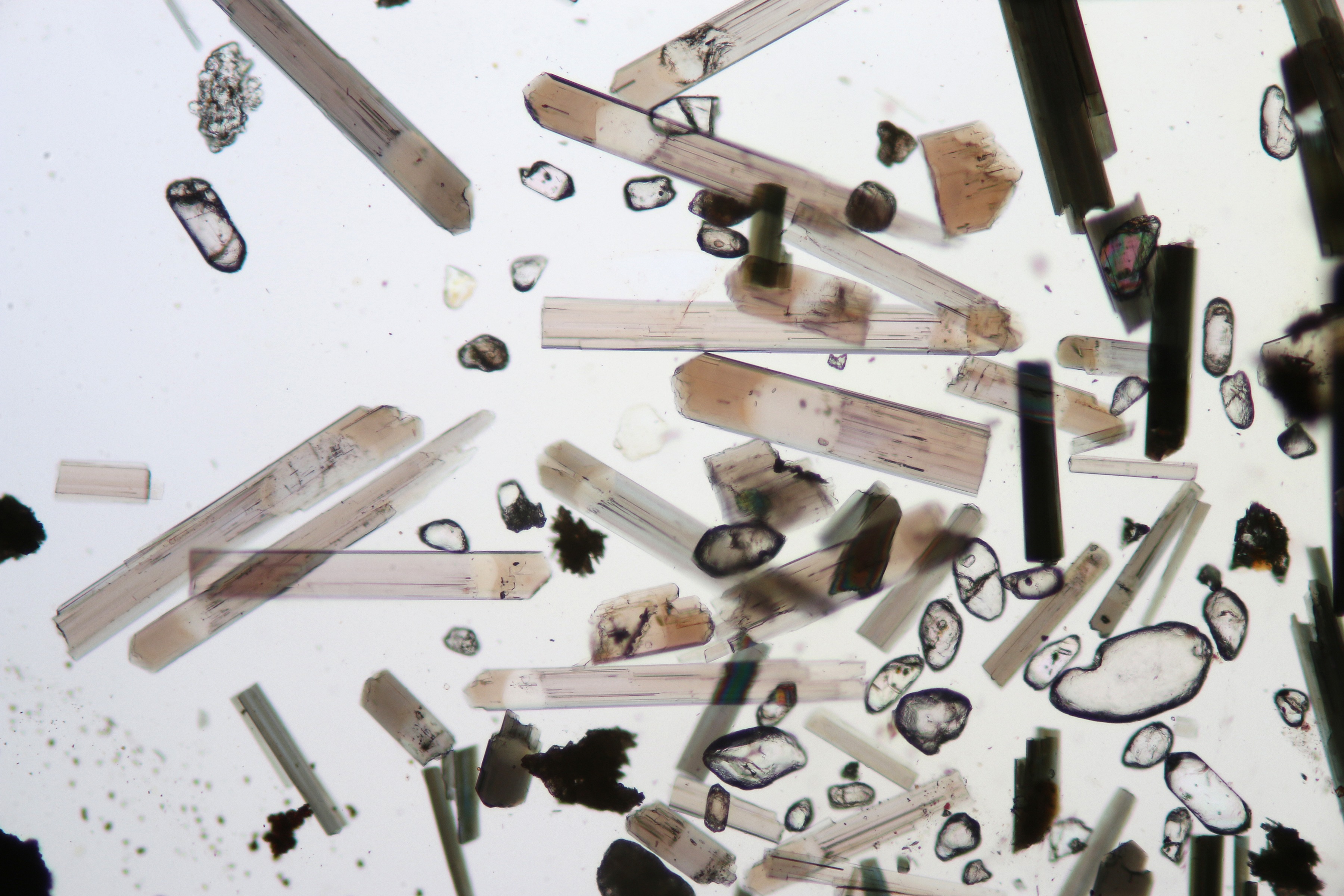 Minerals In Thin Section