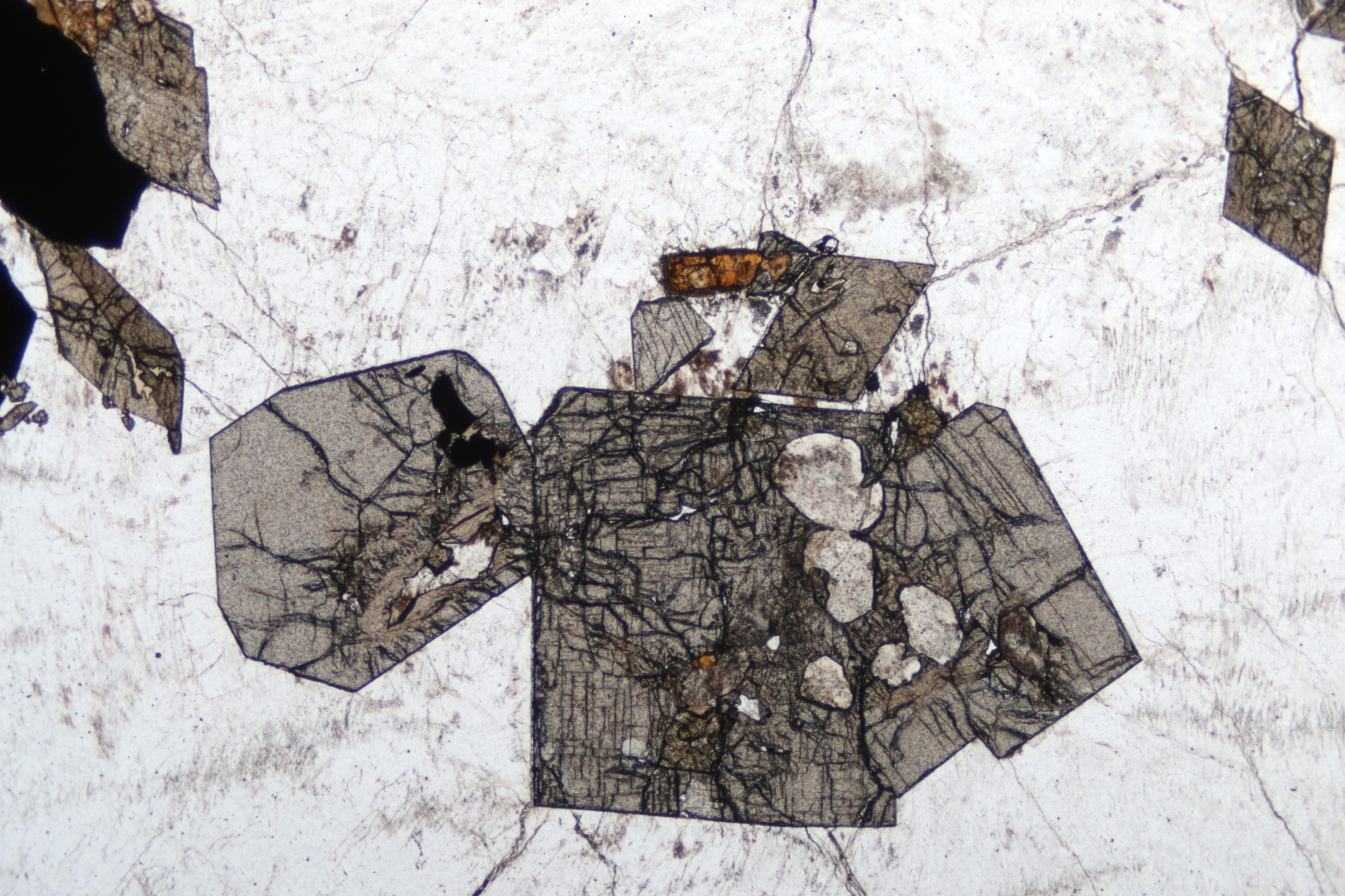 Minerals In Thin Section