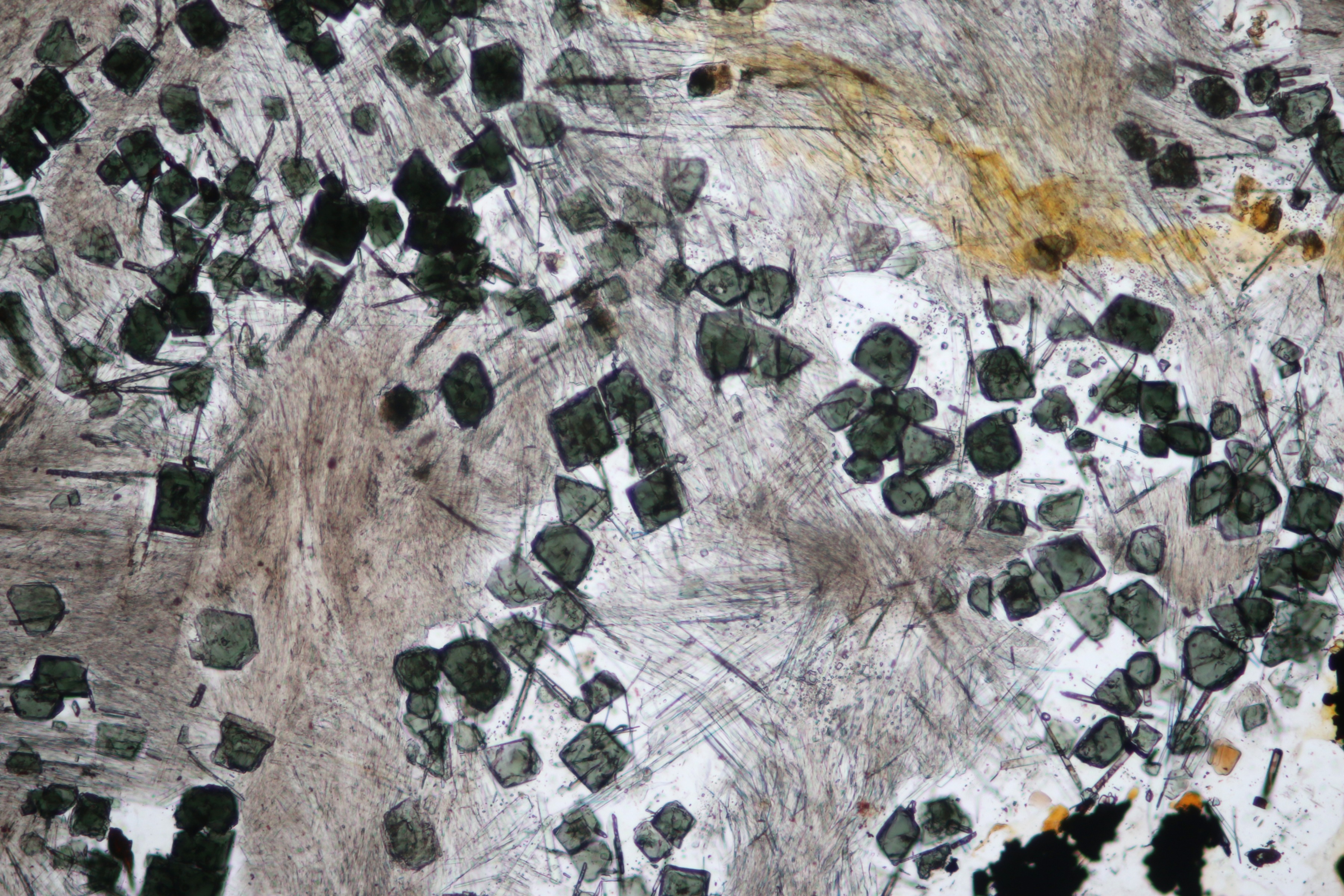 Minerals In Thin Section