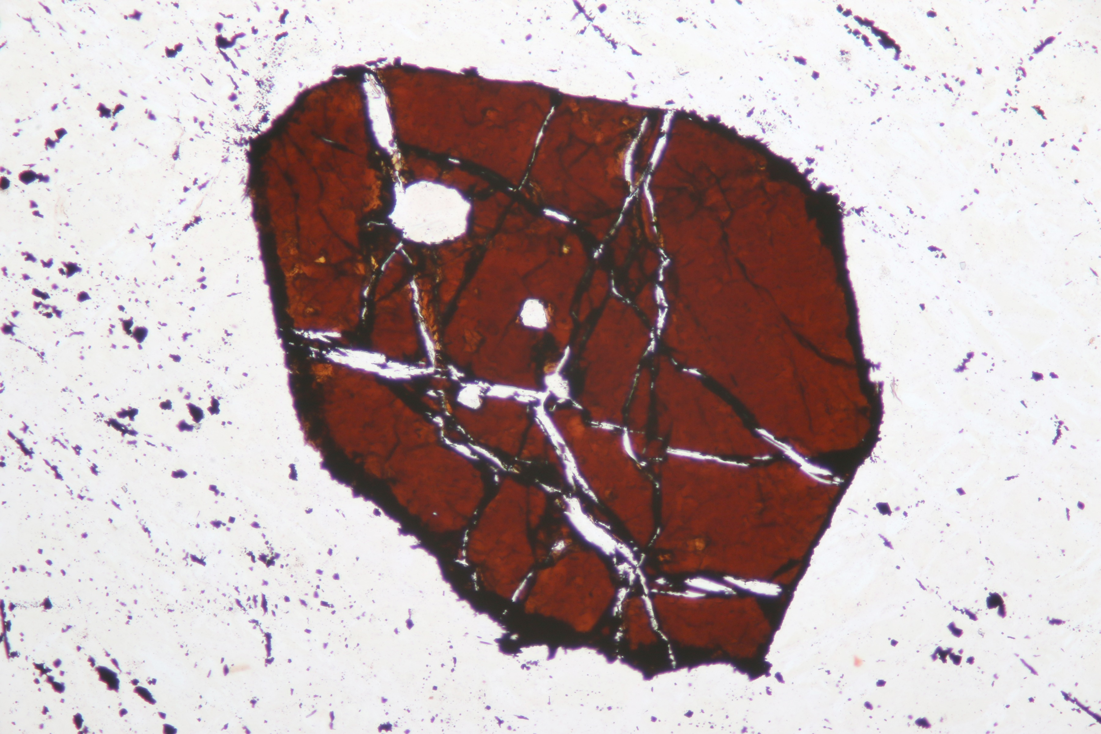 Minerals In Thin Section
