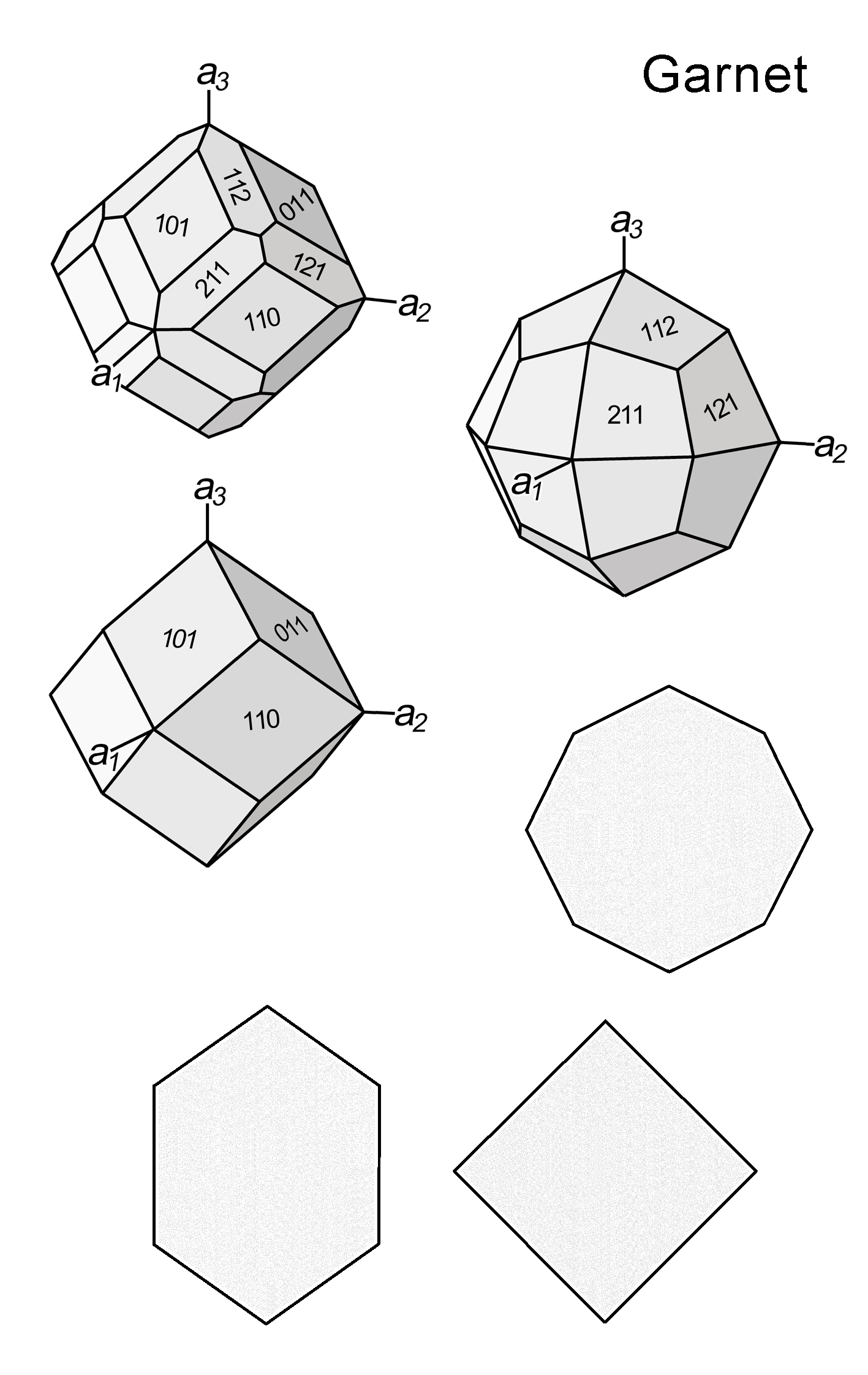 Minerals In Thin Section