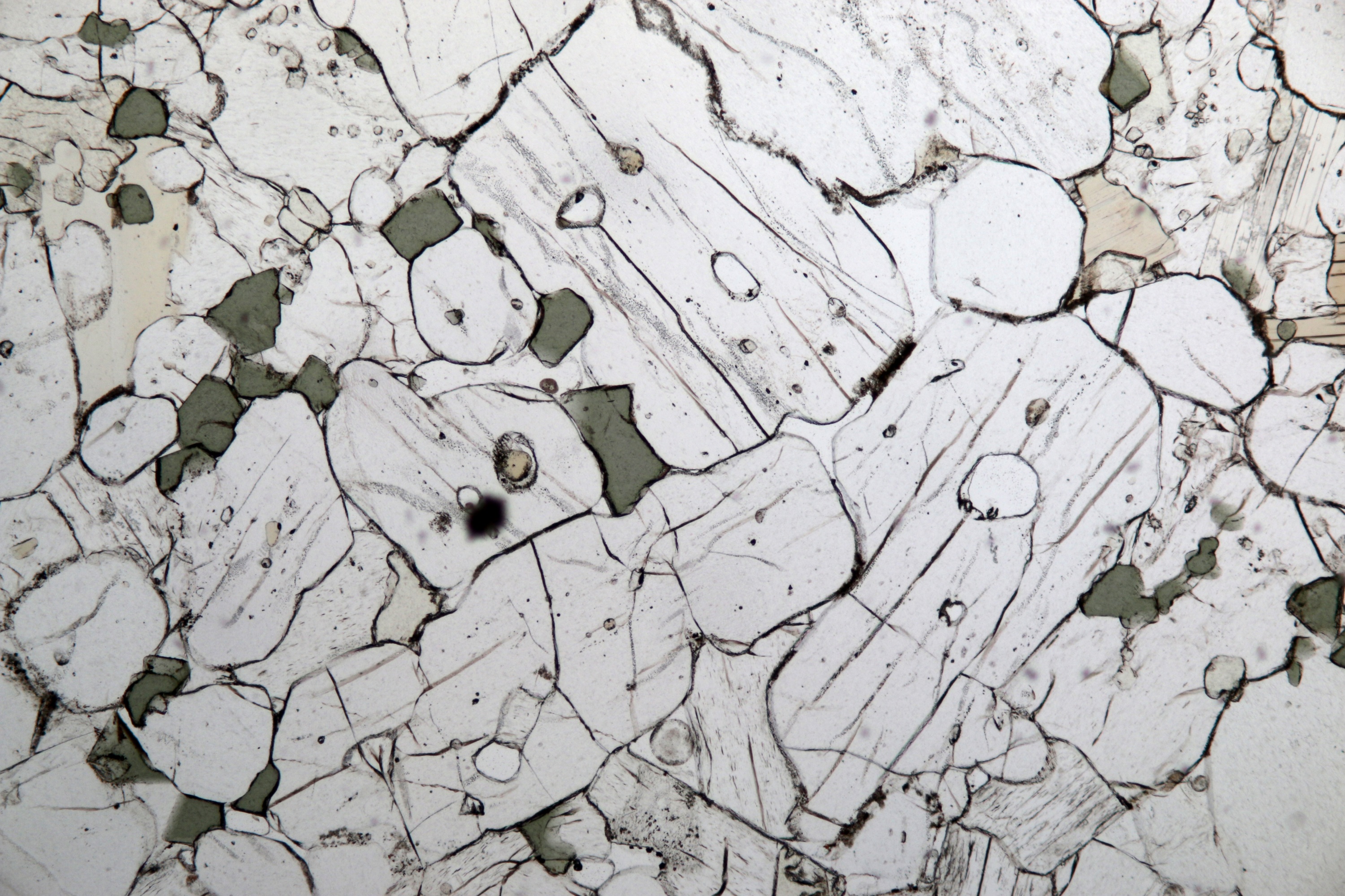Minerals In Thin Section