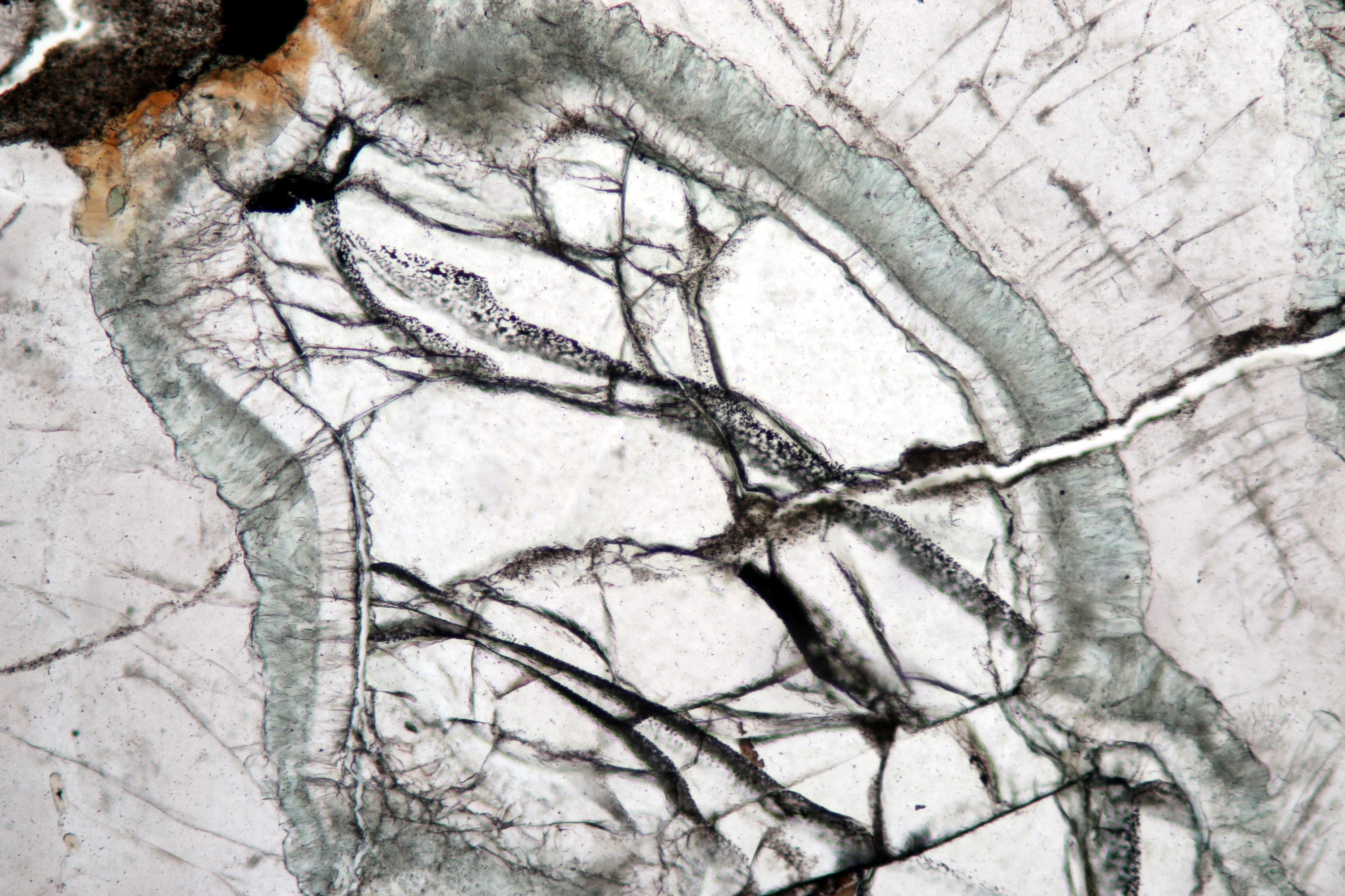 Minerals In Thin Section