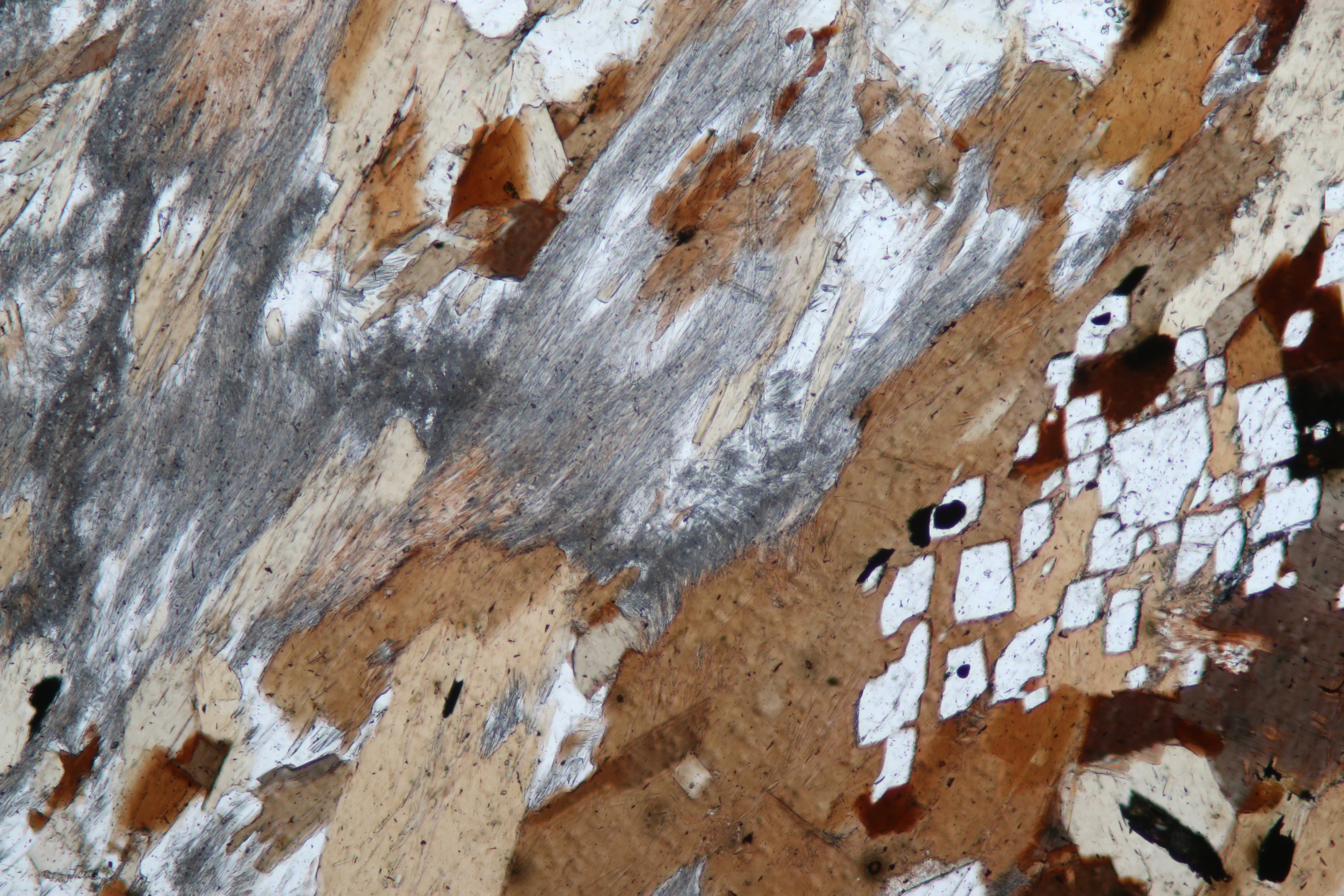 Minerals In Thin Section