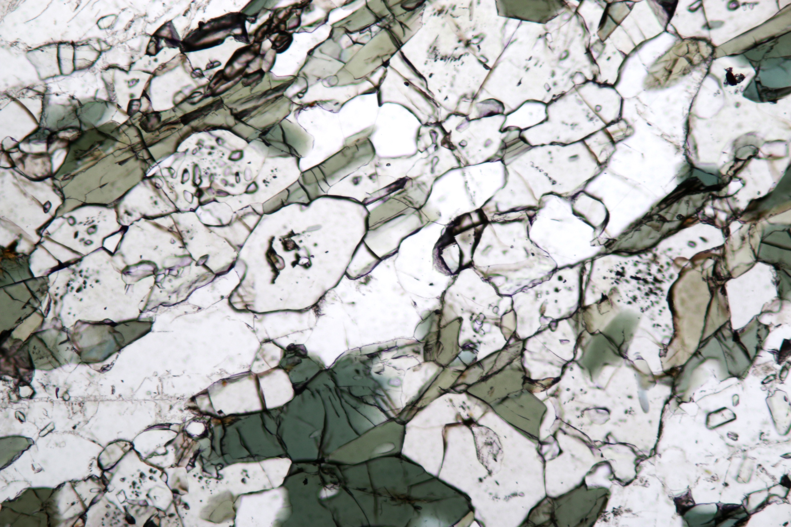 Minerals In Thin Section
