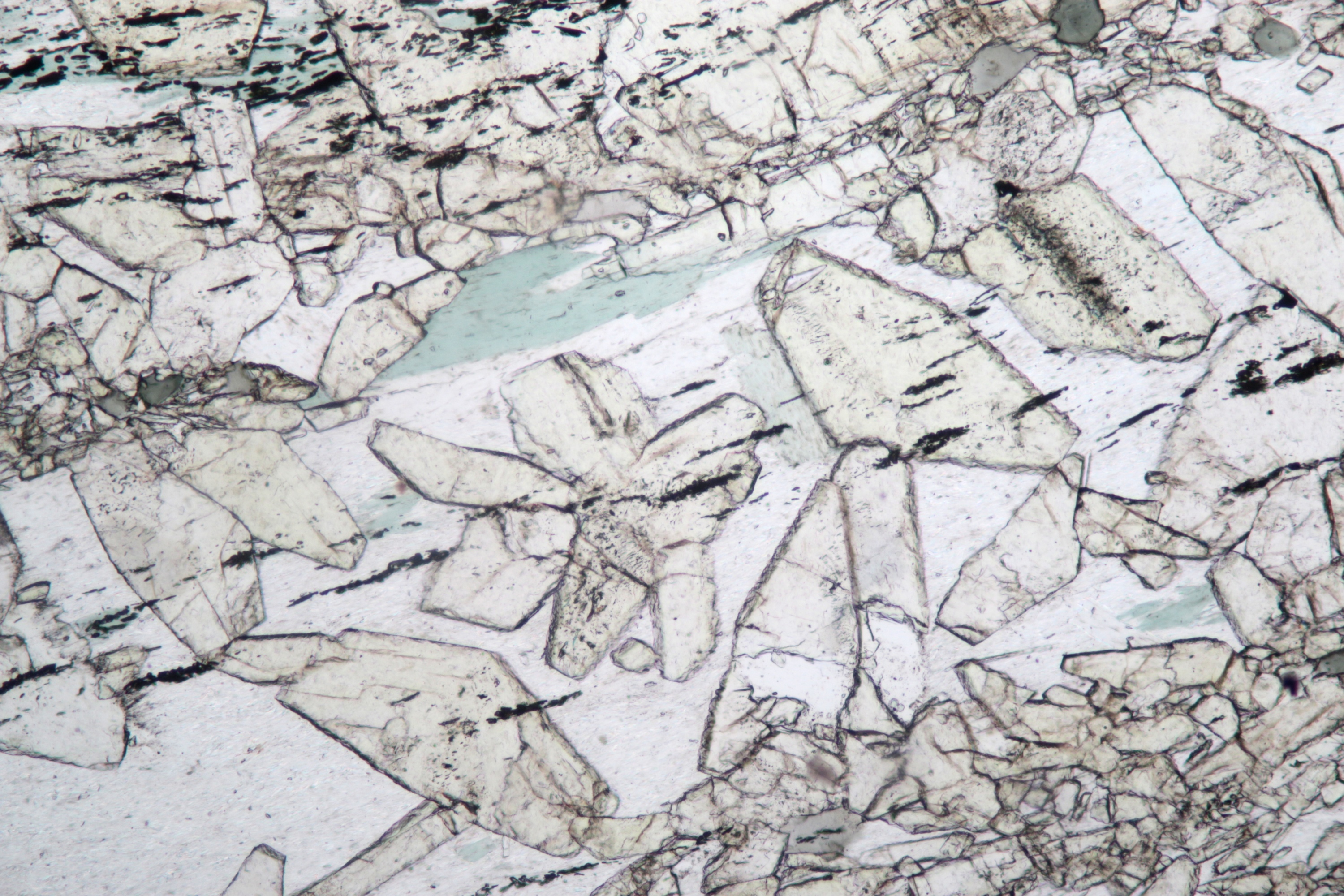 Minerals In Thin Section
