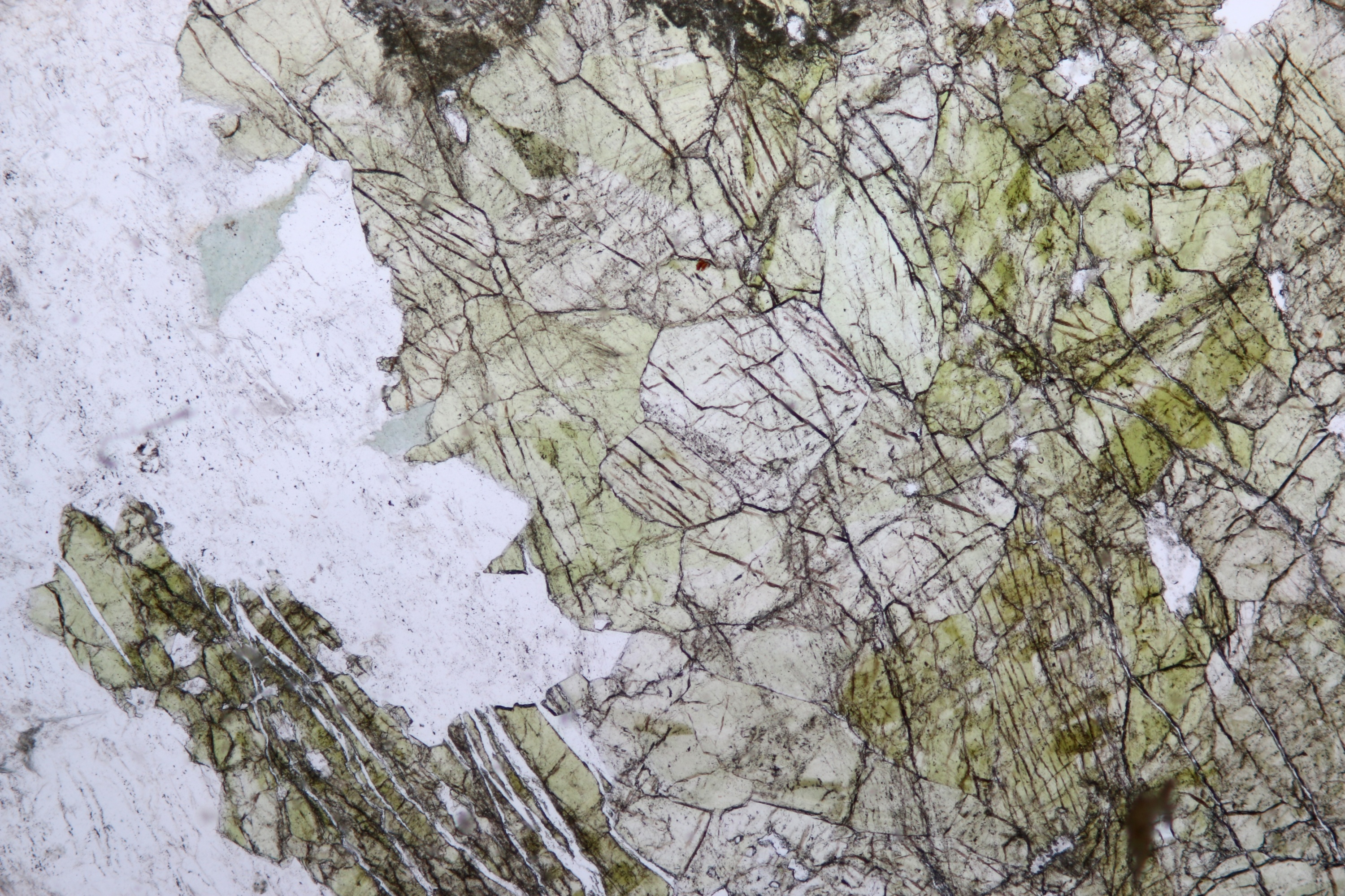 Minerals In Thin Section