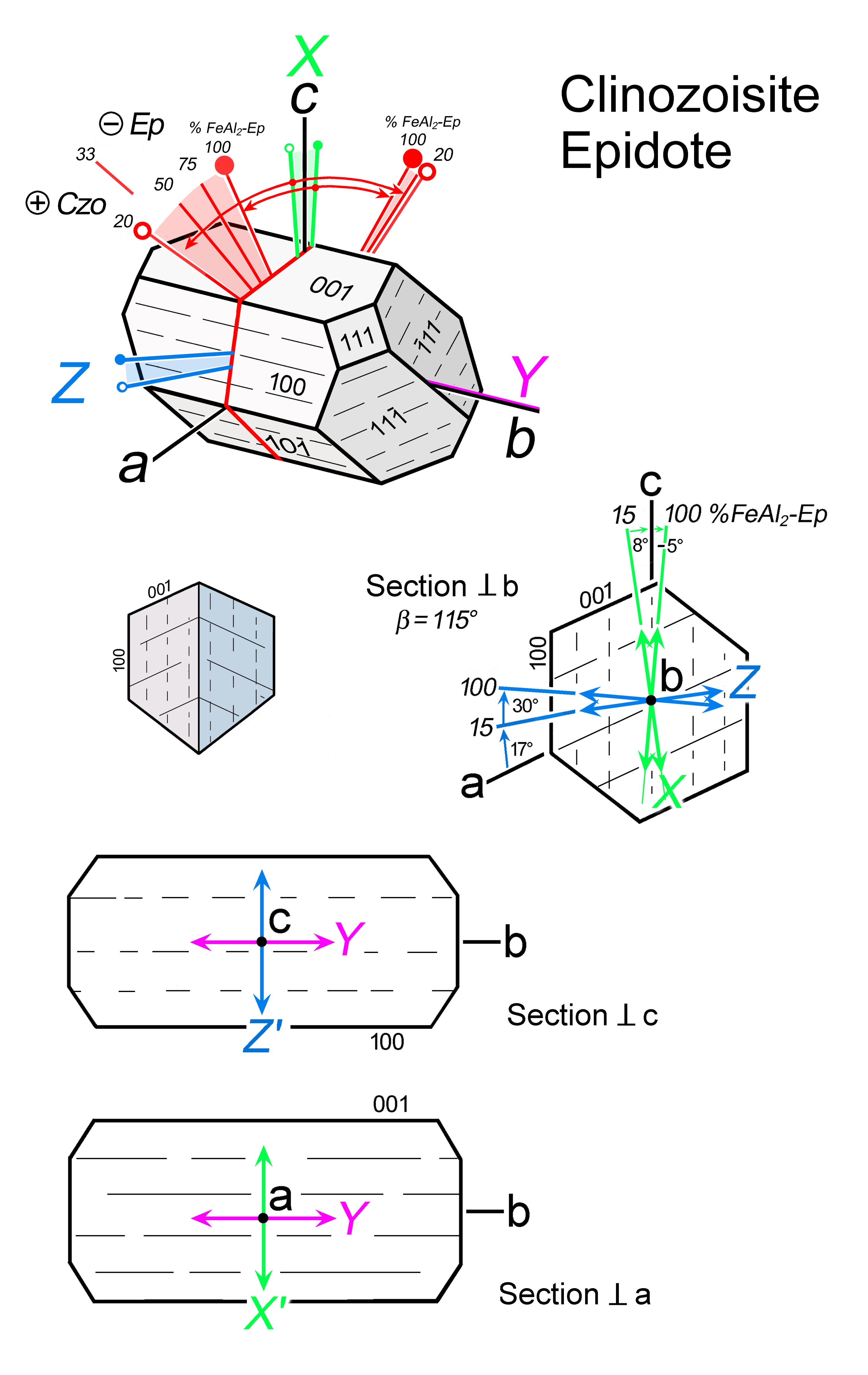 Minerals In Thin Section