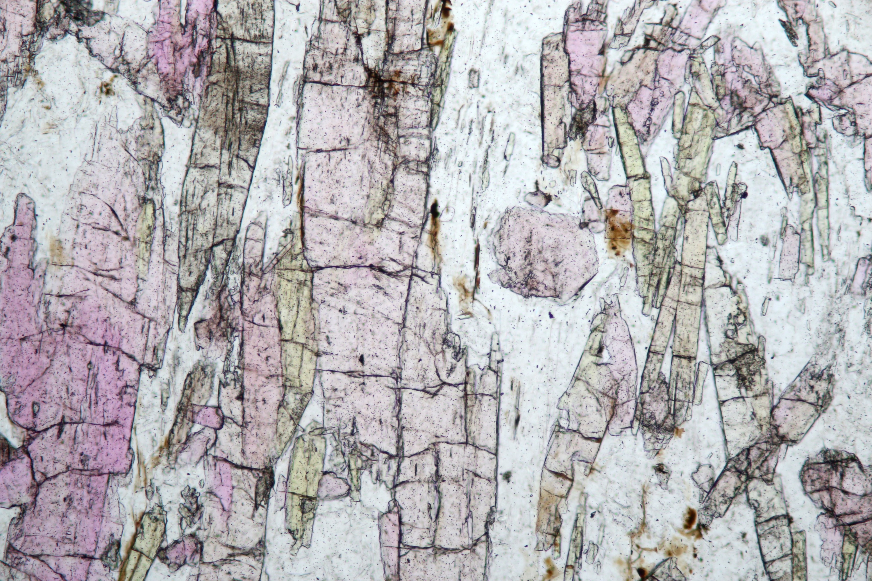 Minerals In Thin Section