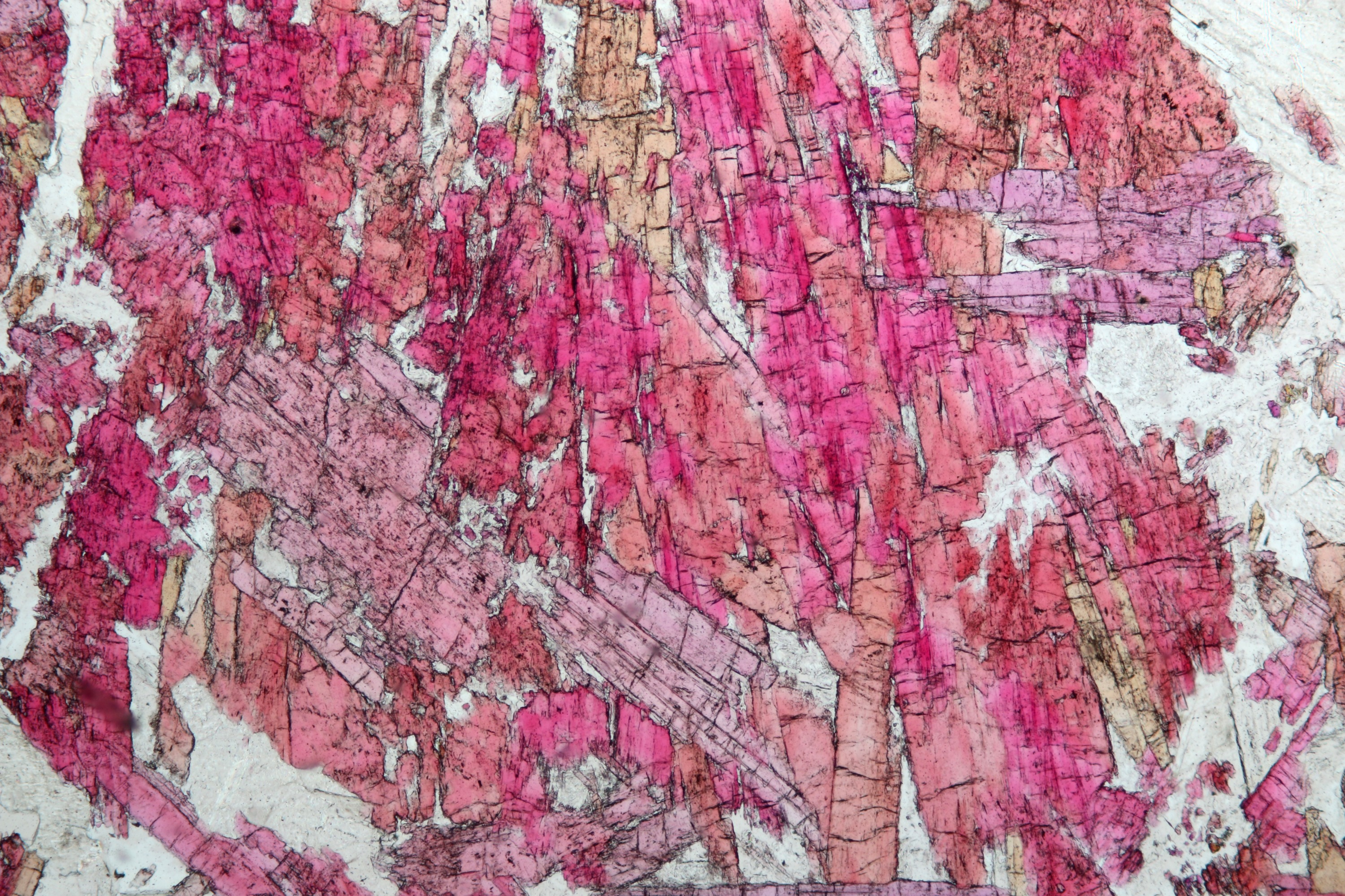 Minerals In Thin Section