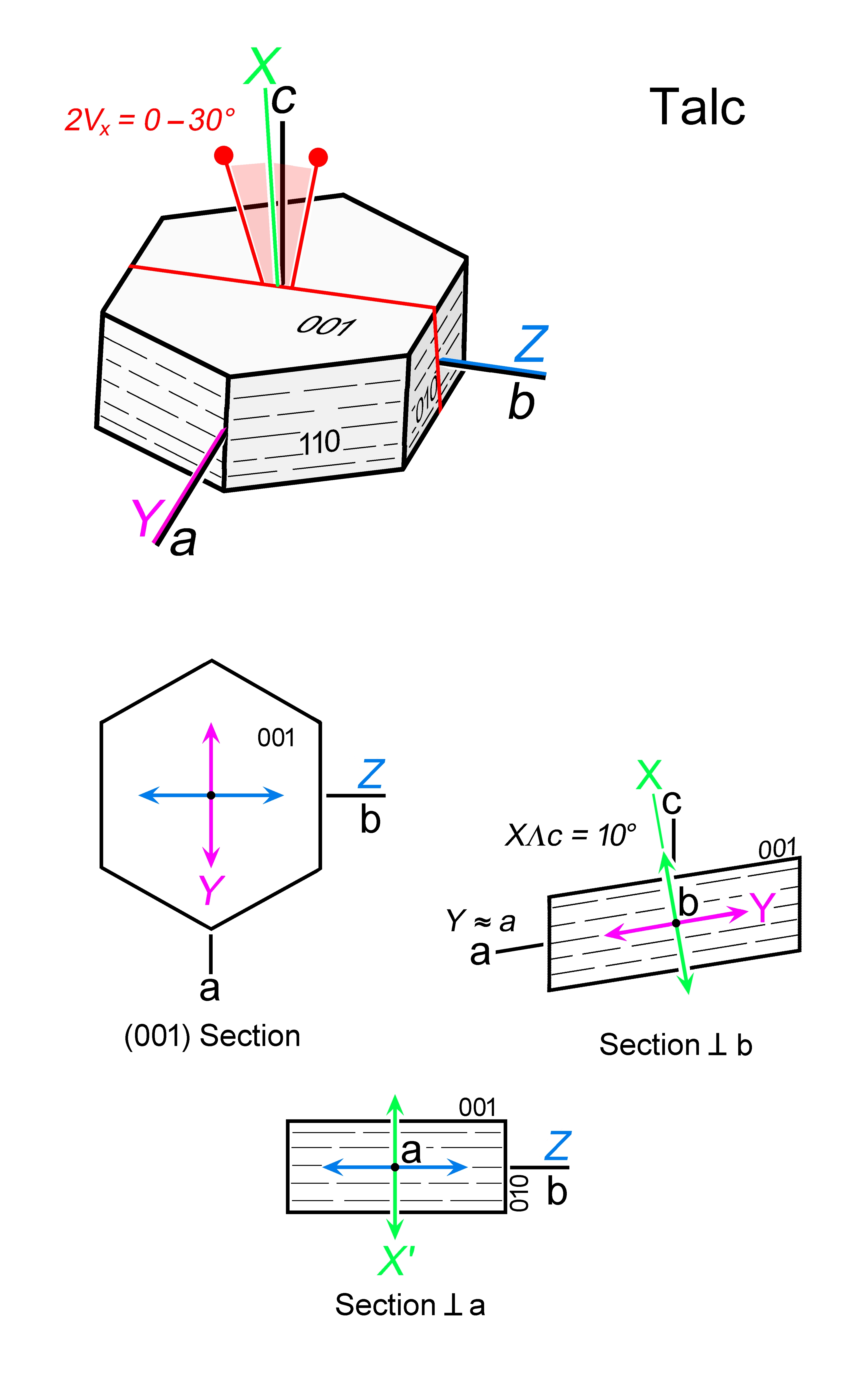 Minerals In Thin Section