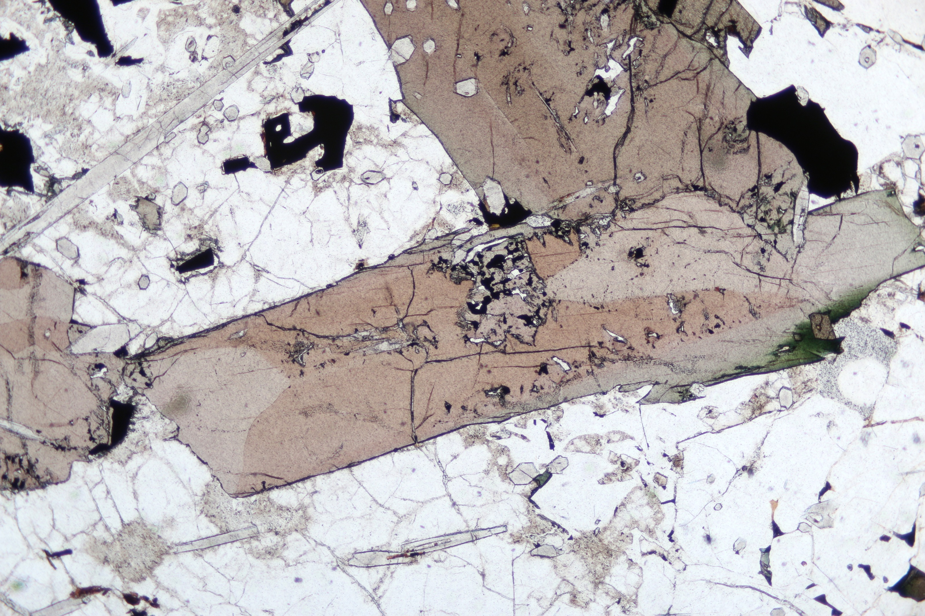 Minerals In Thin Section