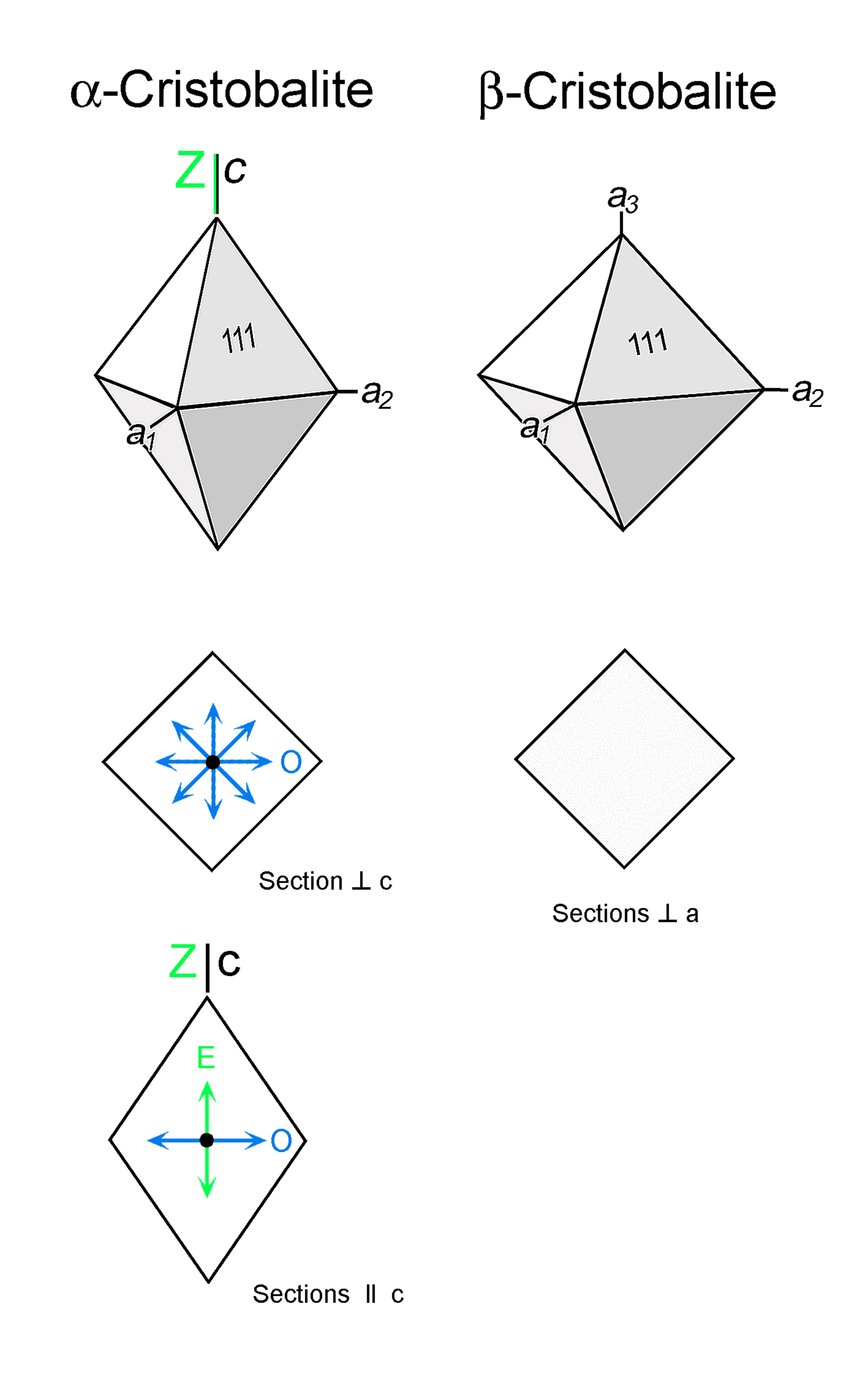 Minerals In Thin Section